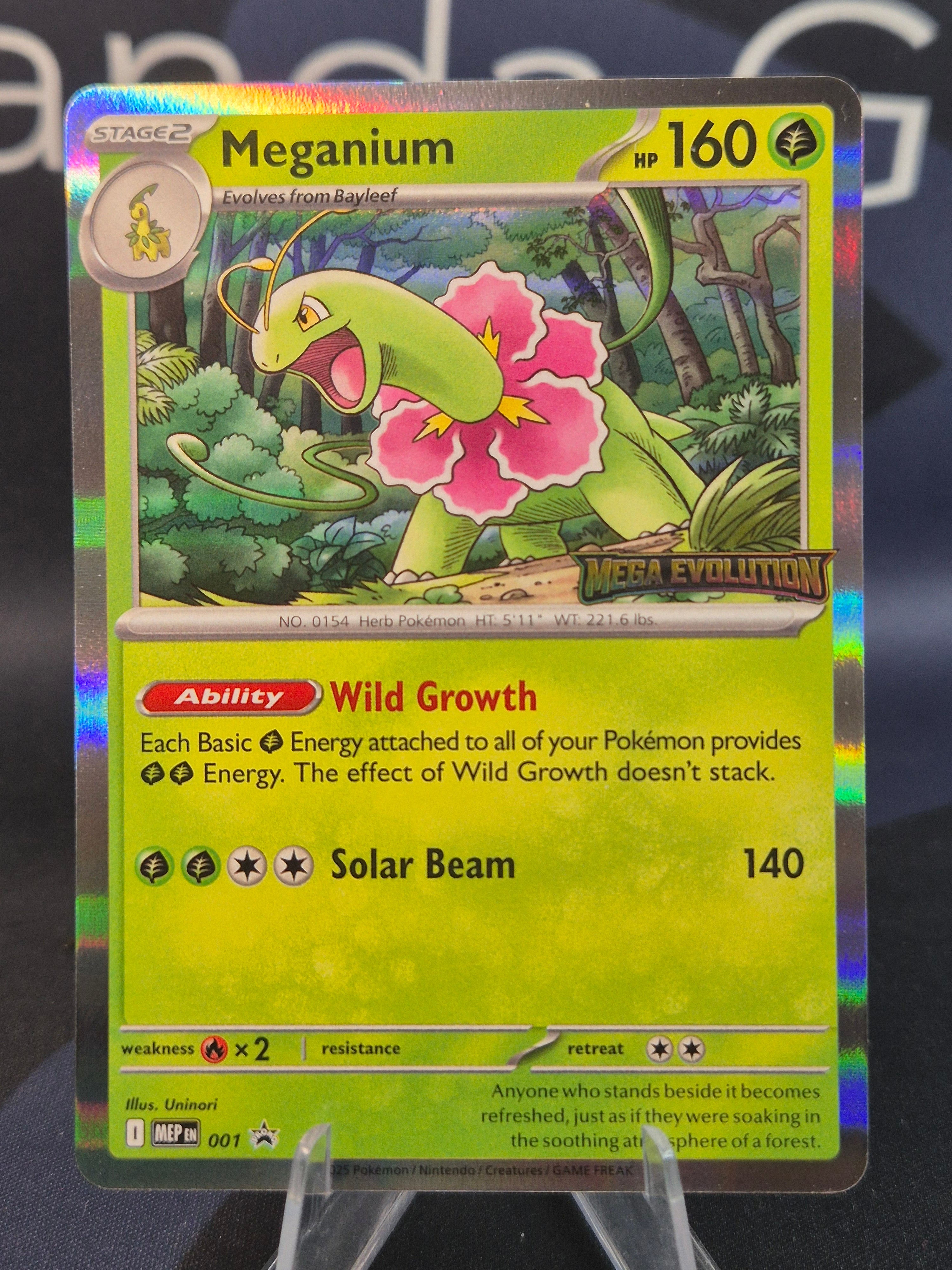 Meganium MEP001 Mega Evolution Black Star Promo – Red Panda Gaming